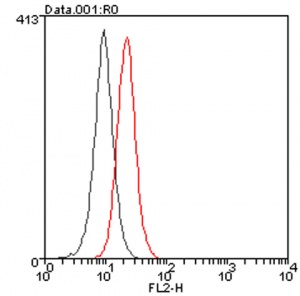 Glutathione (GSH) DyLight® 549 Monoclonal Antibody (50 ug) - Arbor ...