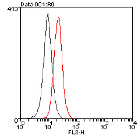 Glutathione (GSH) DyLight® 549 Monoclonal Antibody (50 ug) - Arbor ...