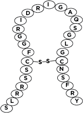 Atrial Natriuretic Peptide (ANP) ELISA Kit - Catalog Number K071-H ...