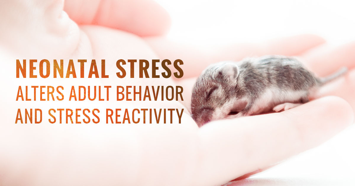 Neonatal Stress Alters Adult Behavior and Stress Reactivity – Arbor ...