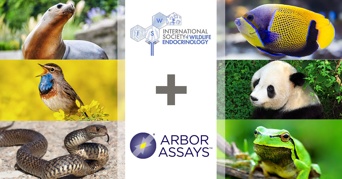 Assay Development ISWE Accessory Kit – Arbor Assays