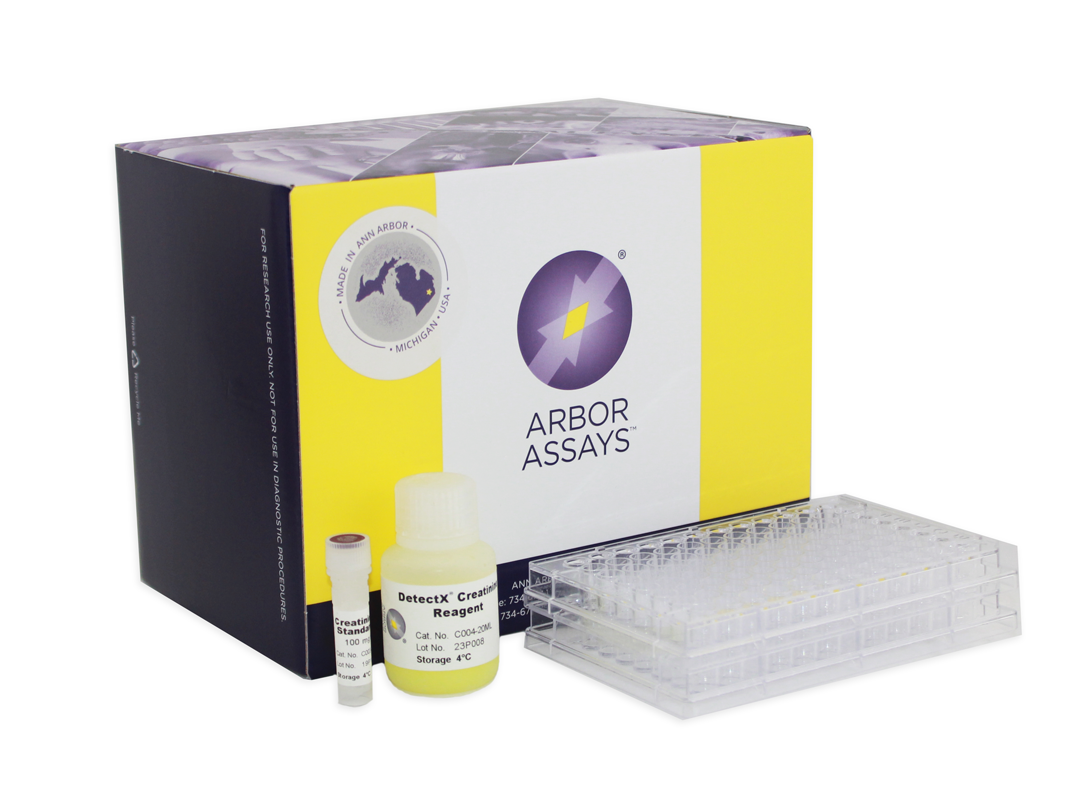 Urinary Creatinine Detection Kit – Arbor Assays