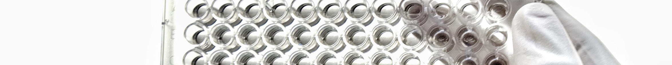 Custom Assay Development – Arbor Assays