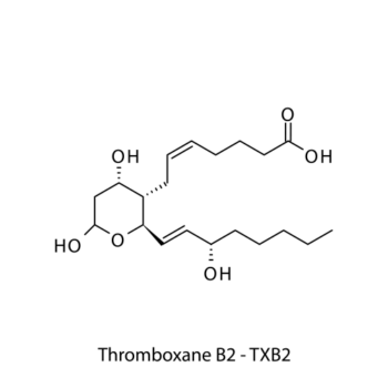 Thromboxane B2 (TXB2) ELISA Kit – Arbor Assays