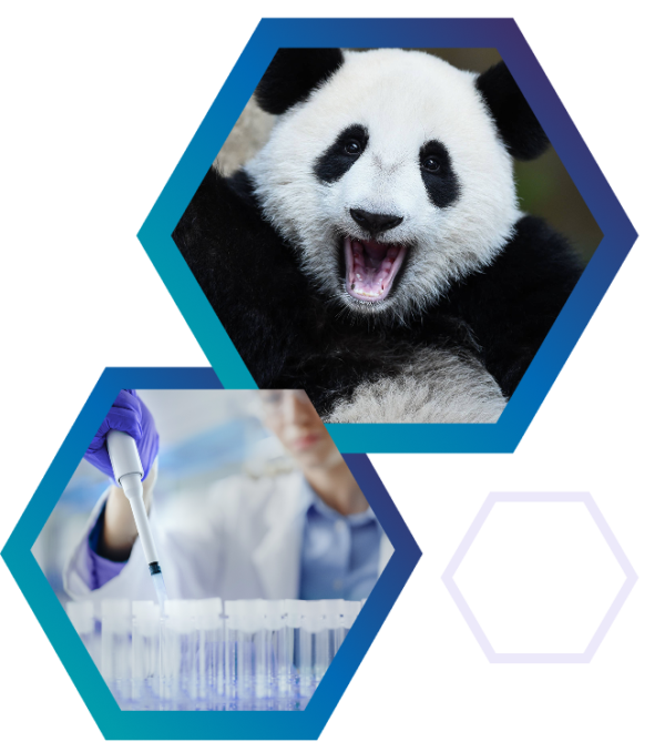 What is Matrix Interference and How Does It Affect Testing? – Arbor Assays