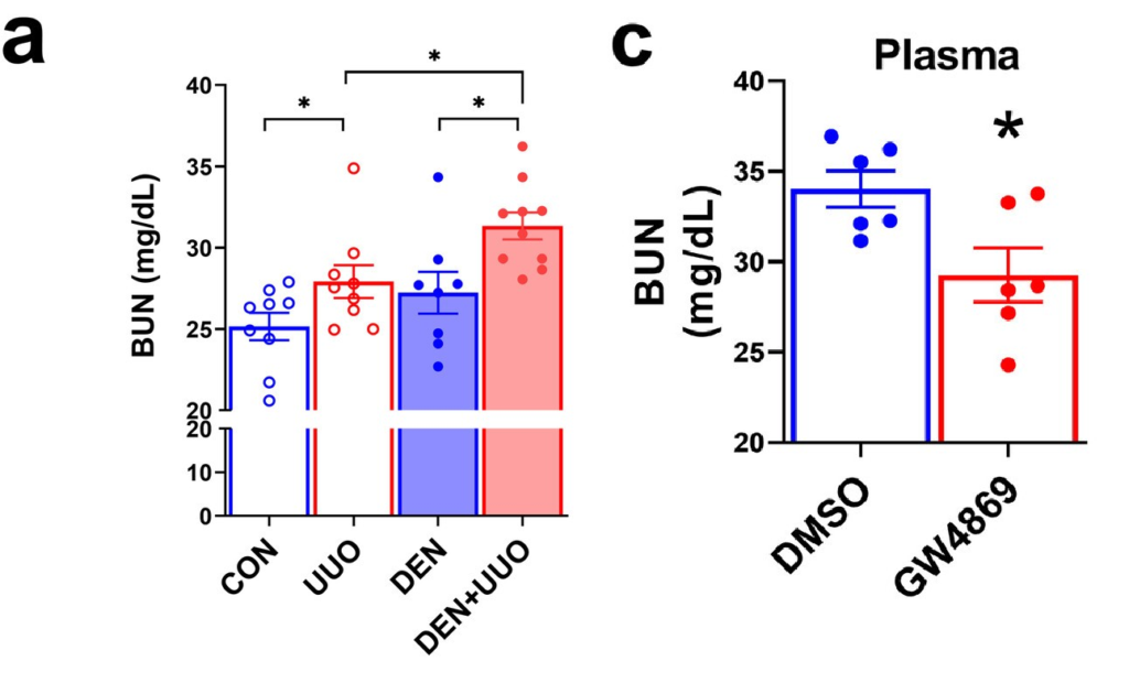 Blood Urea Nitrogen Quantifies Kidney Function and Disease – Arbor Assays